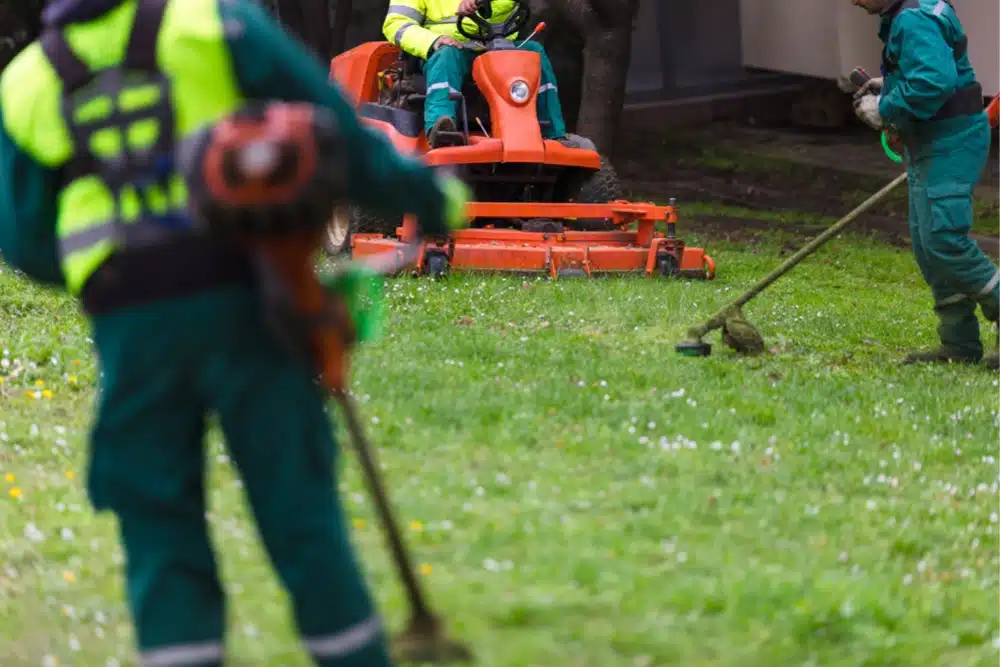 Save with Regular Lawn Maintenance and Enhancements